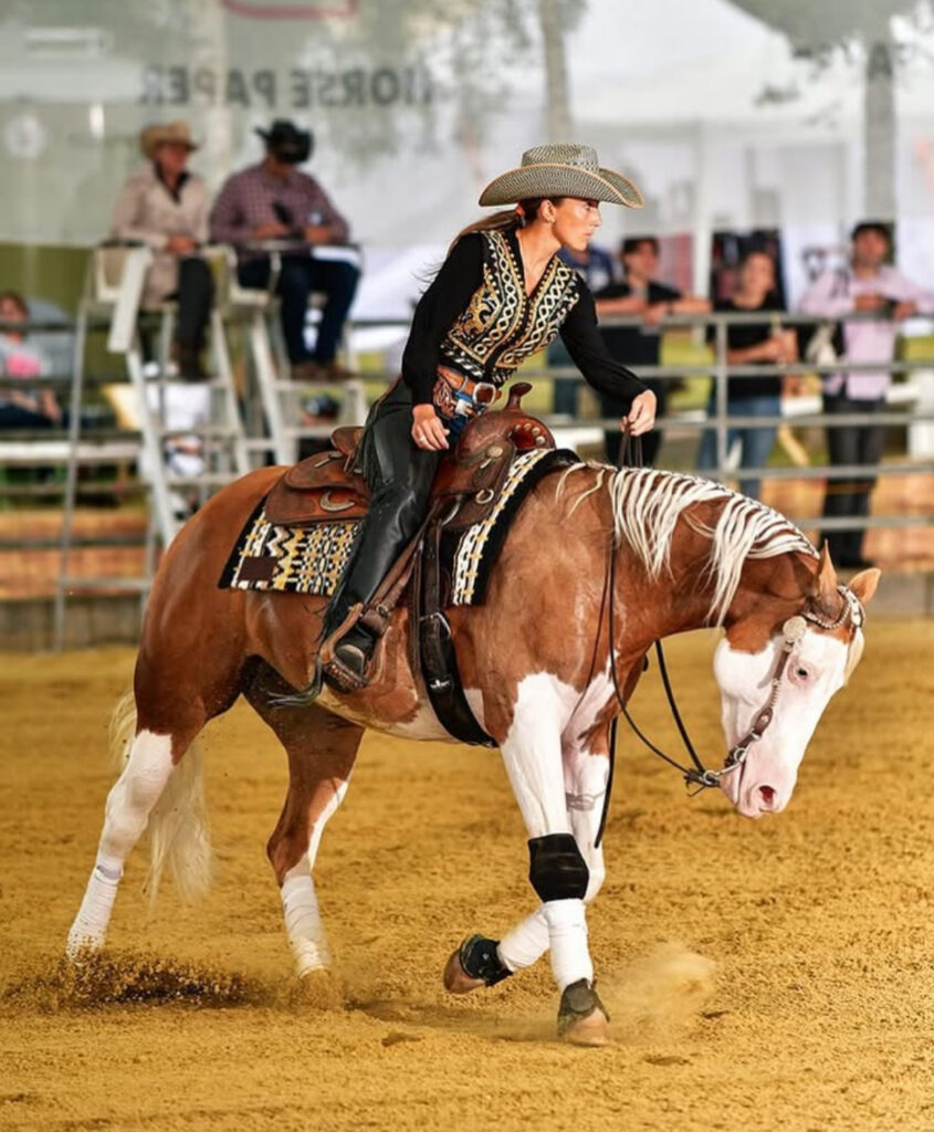 Gunnatrashya Joins Legendary Sire Gunner as NRHA $15 Million Sire ...