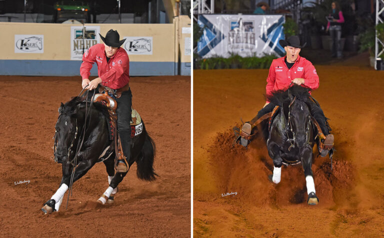 A Vintage Smoke Becomes an NRHA Million Dollar Sire - International ...